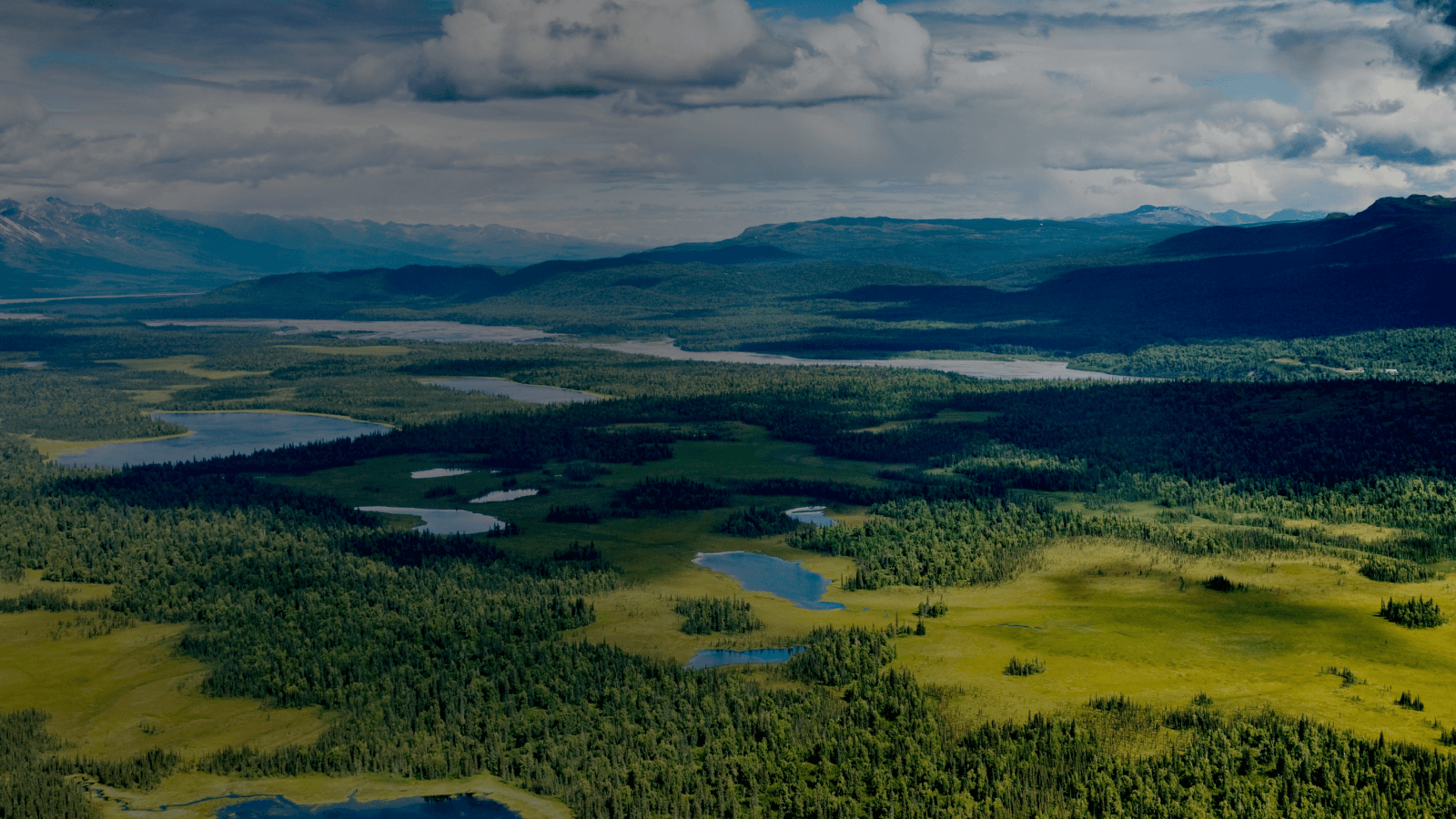 Welcome to the new era of The DDC Group